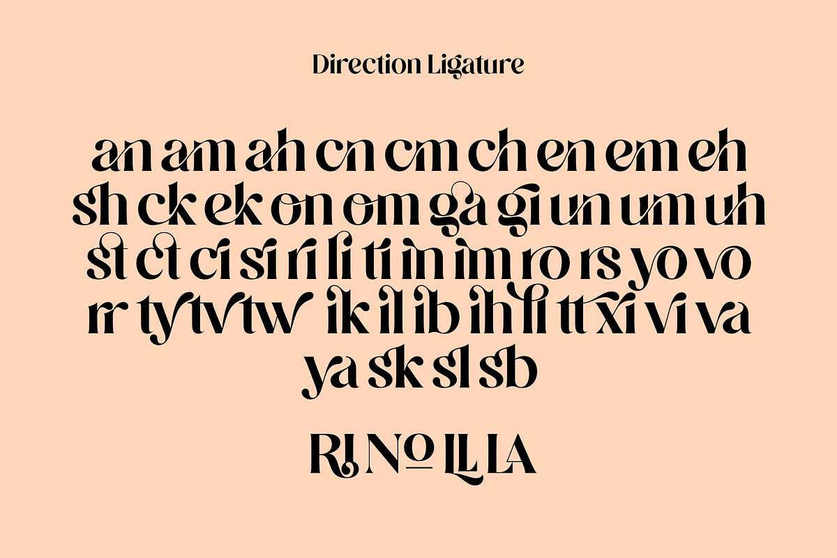 Megan Display Font, a Sans Serif Font by INKSUN™