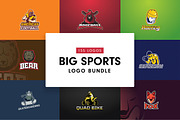 Big Sports Logo Bundle, a Branding & Logo Template by LogoLabs