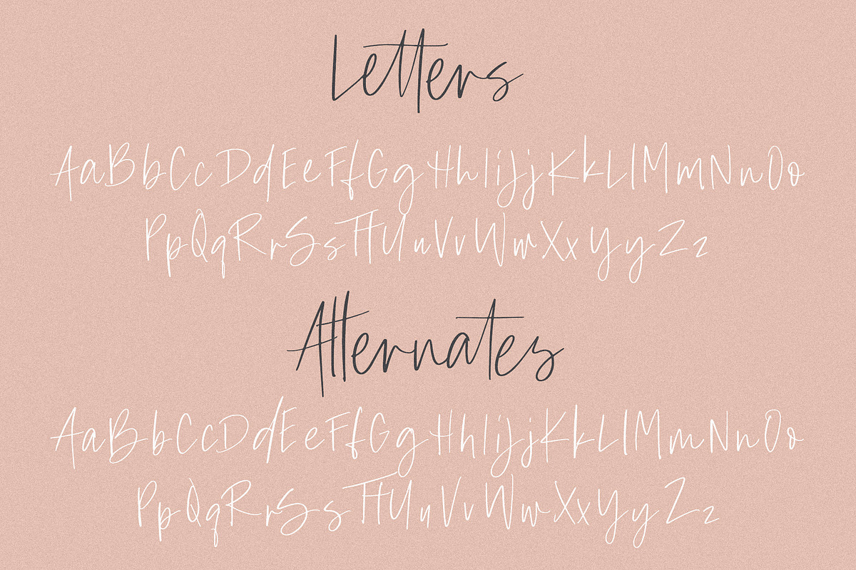 Amaro | Script + 6 Free Logos, a Script Font by Jen Wagner Co
