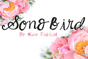 Songbird whimsical font by Kay, a Script Font by Grandmillennial Lane