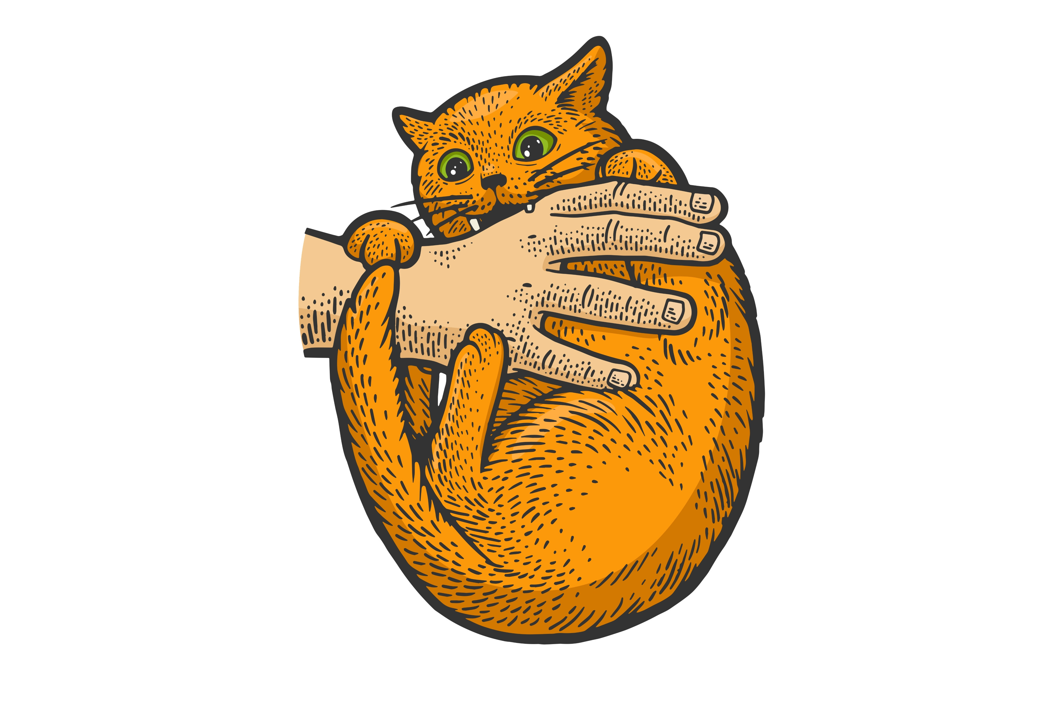cat bites hand sketch vector | Animal Illustrations ~ Creative Market