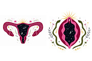 Female reproductive system. Vagina, a Healthcare Illustration by Chikovnaya