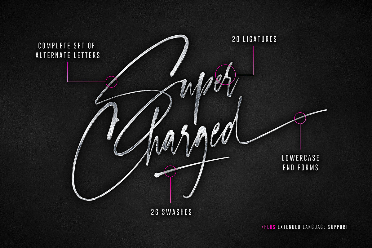 Checkpoint Signature Font, a Script Font by Sam Parrett