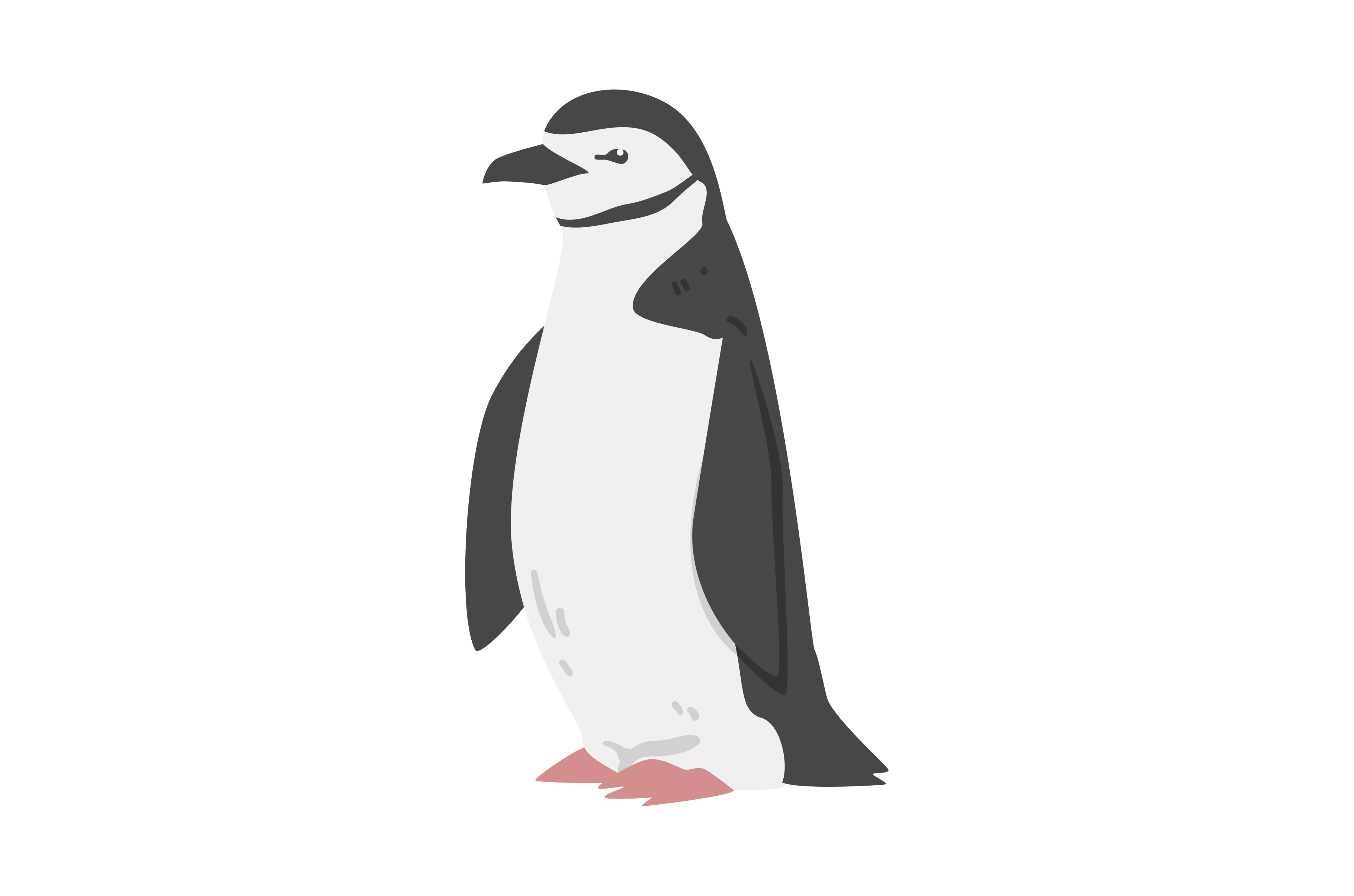 Chinstrap Penguin as Aquatic, an Animal Illustration by TopVectors