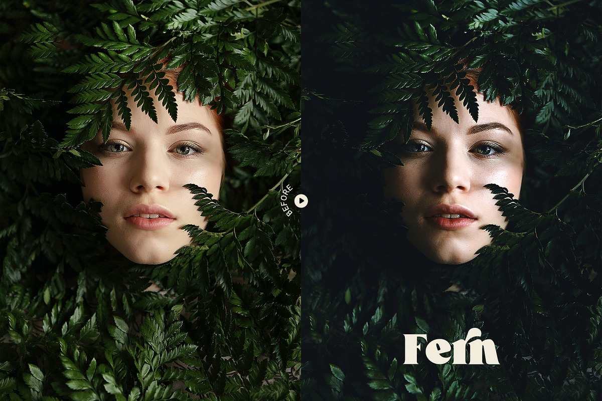 Fern Portrait Photoshop Action and LUT