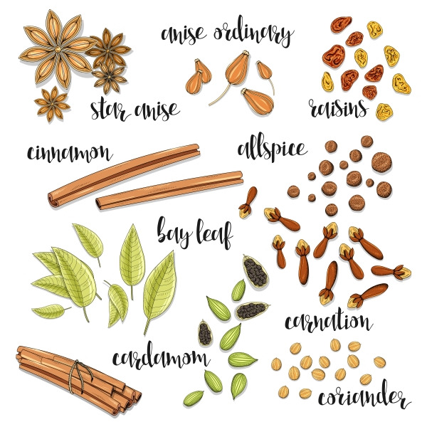 food spices, an Object Graphic by Vectorist