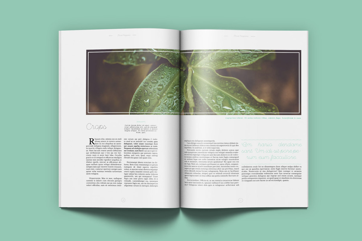 Floral Magazine, a Magazine Template by Kahuna Design