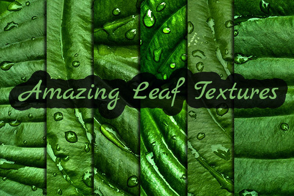 Leaf Textures, a Texture Graphic by MHLY