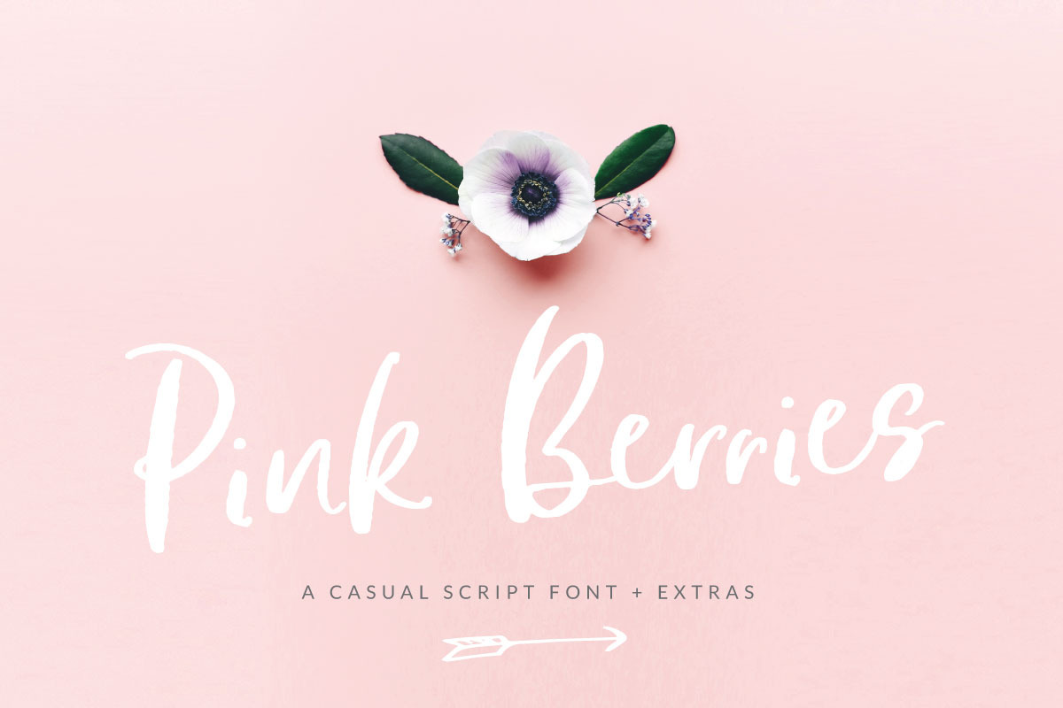Pink Berries Script font + Extras, a Handwritten Font by Creator Goodies