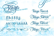 Taiga -60% off!, a Script Font by Fenotype