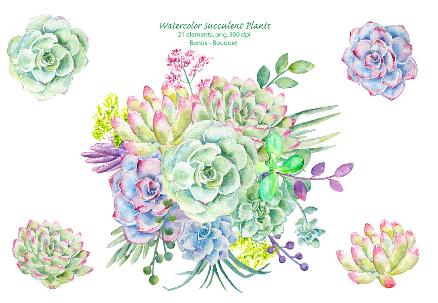 Watercolor Clipart Succulent Plants, an Illustration by Corner Croft