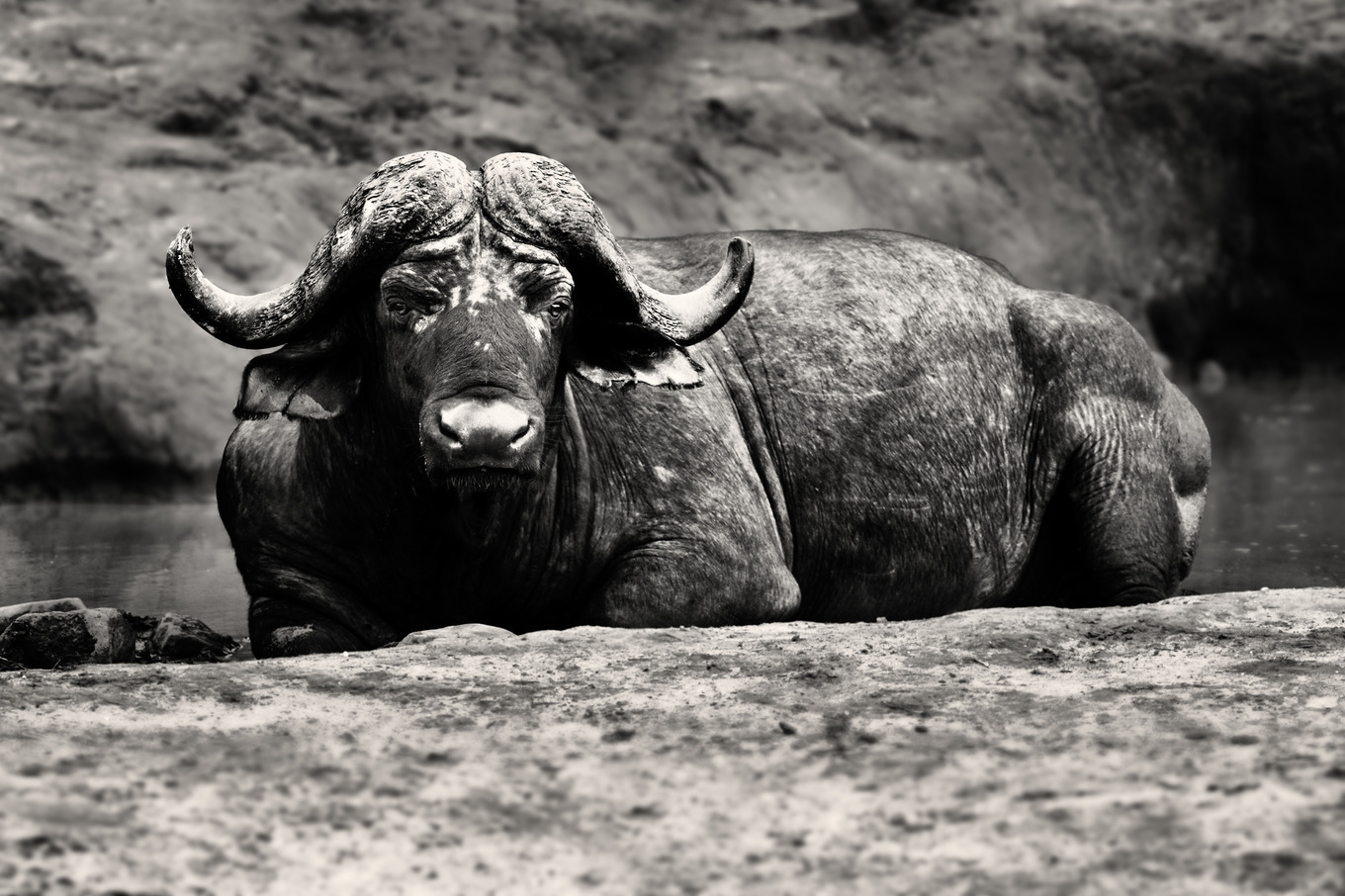 Dugga boy in Africa, an Animal Photo by Etienne & Yolandi Outram