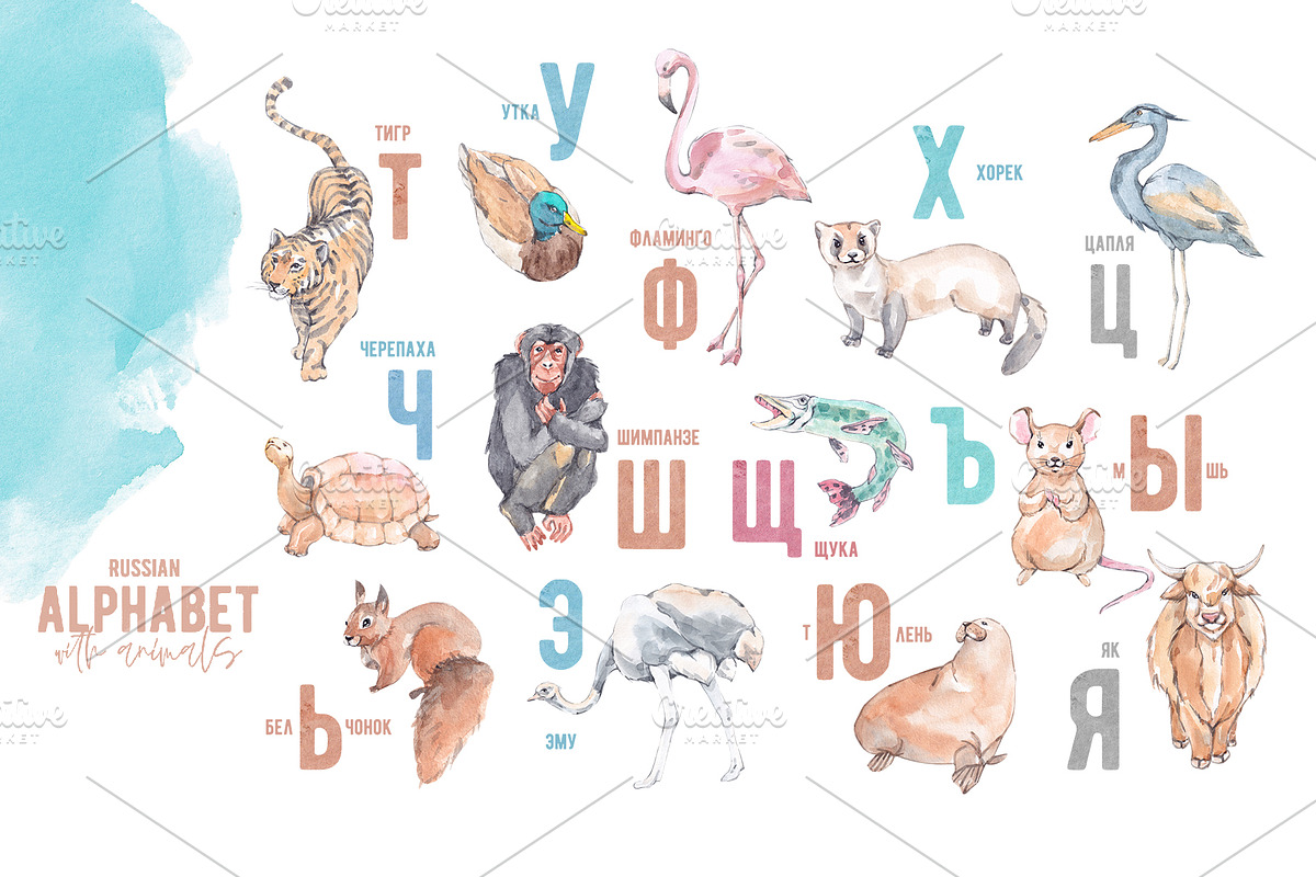 Russian Alphabet with Animals, an Animal Illustration by VerAna