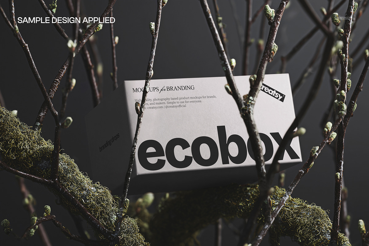 Paper Box in Tree Branches Mockup, a Packaging Mockup by creatsy5
