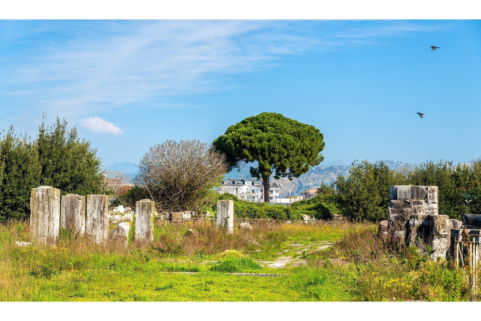 The amphitheater of capua the second biggest roman amphitheater ...