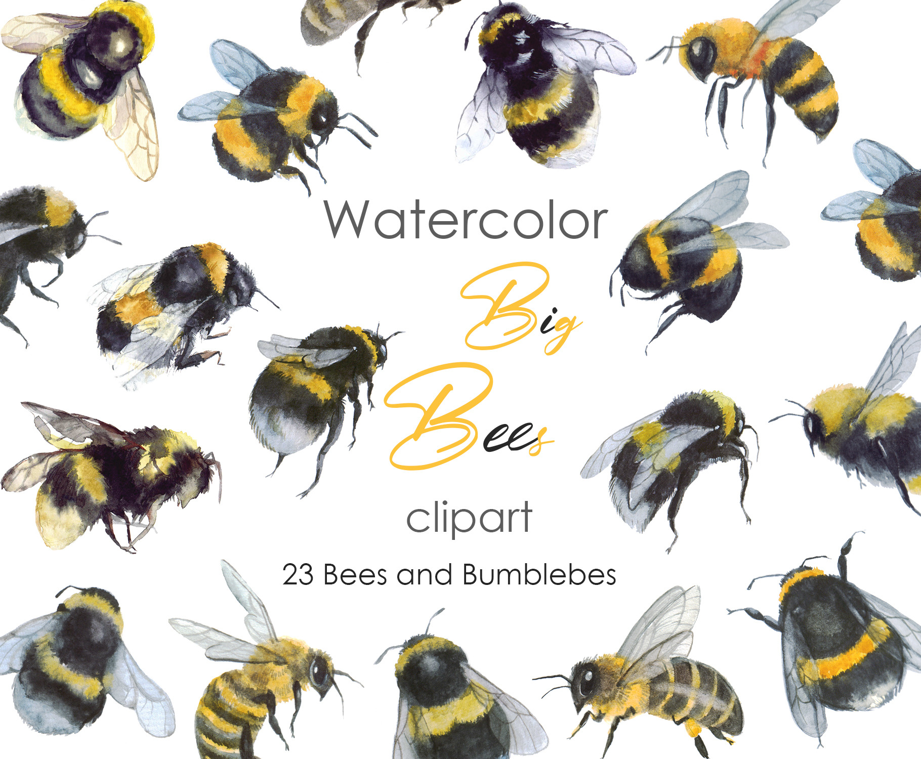 Bee clipart Watercolor insect art, a Decorative Illustration by ...