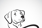 Vector of labrador dog head design., an Outline Icon by yod67
