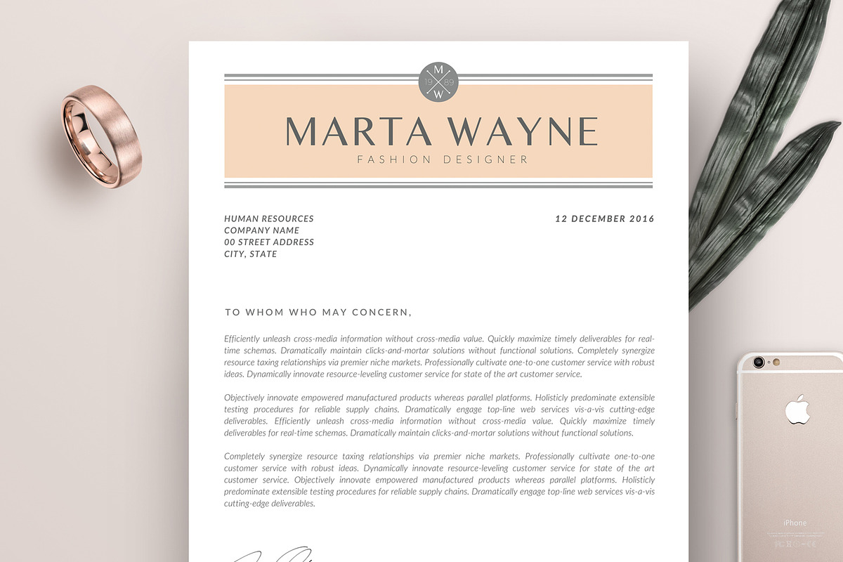 Professional Resume Template RE001, a Resume Template by Draca Design Co