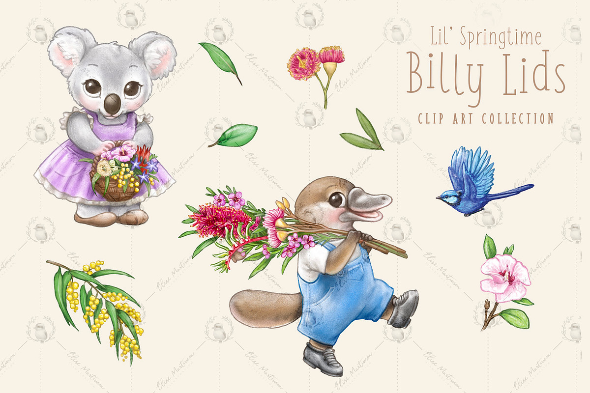 Cute Australian Animal Clip Art, an Animal Illustration by Clip Art by ...