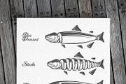 Salmon fish cuts diagram | Food Illustrations ~ Creative Market