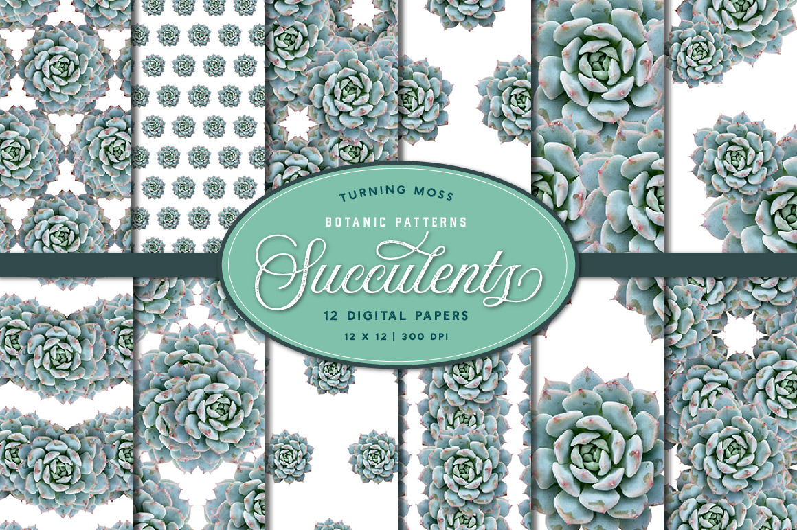 Succulent Patterns - Digital Paper, a Pattern Graphic by Turning Moss