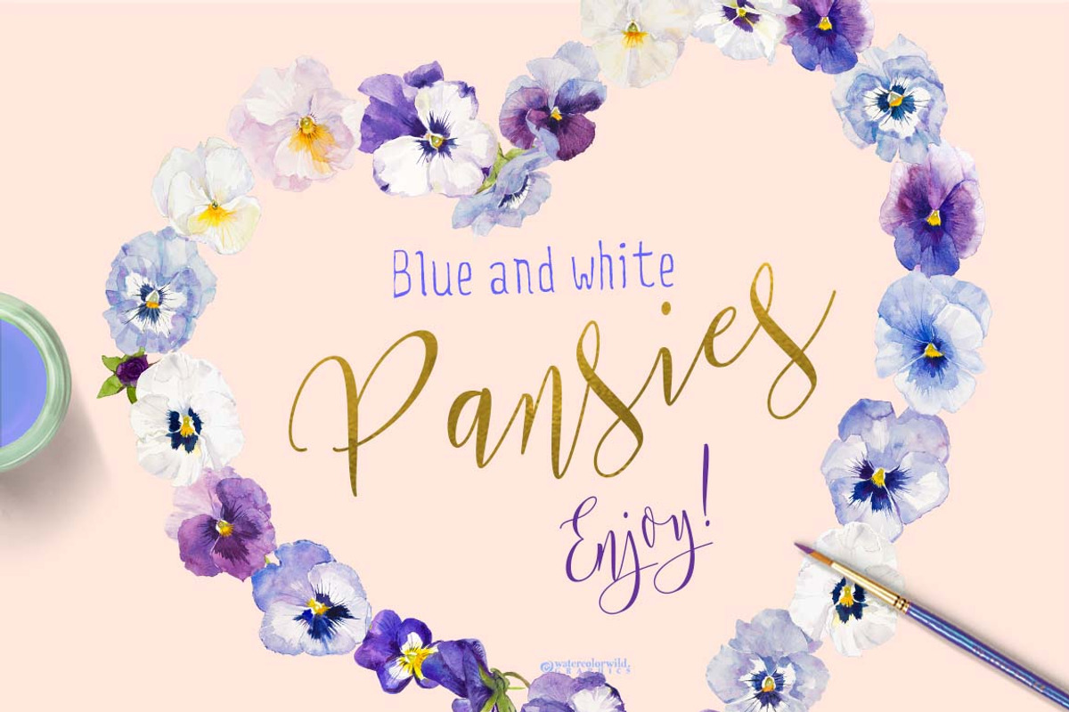 Pansies-Design pack, an Illustration by watercolorwild.graphics