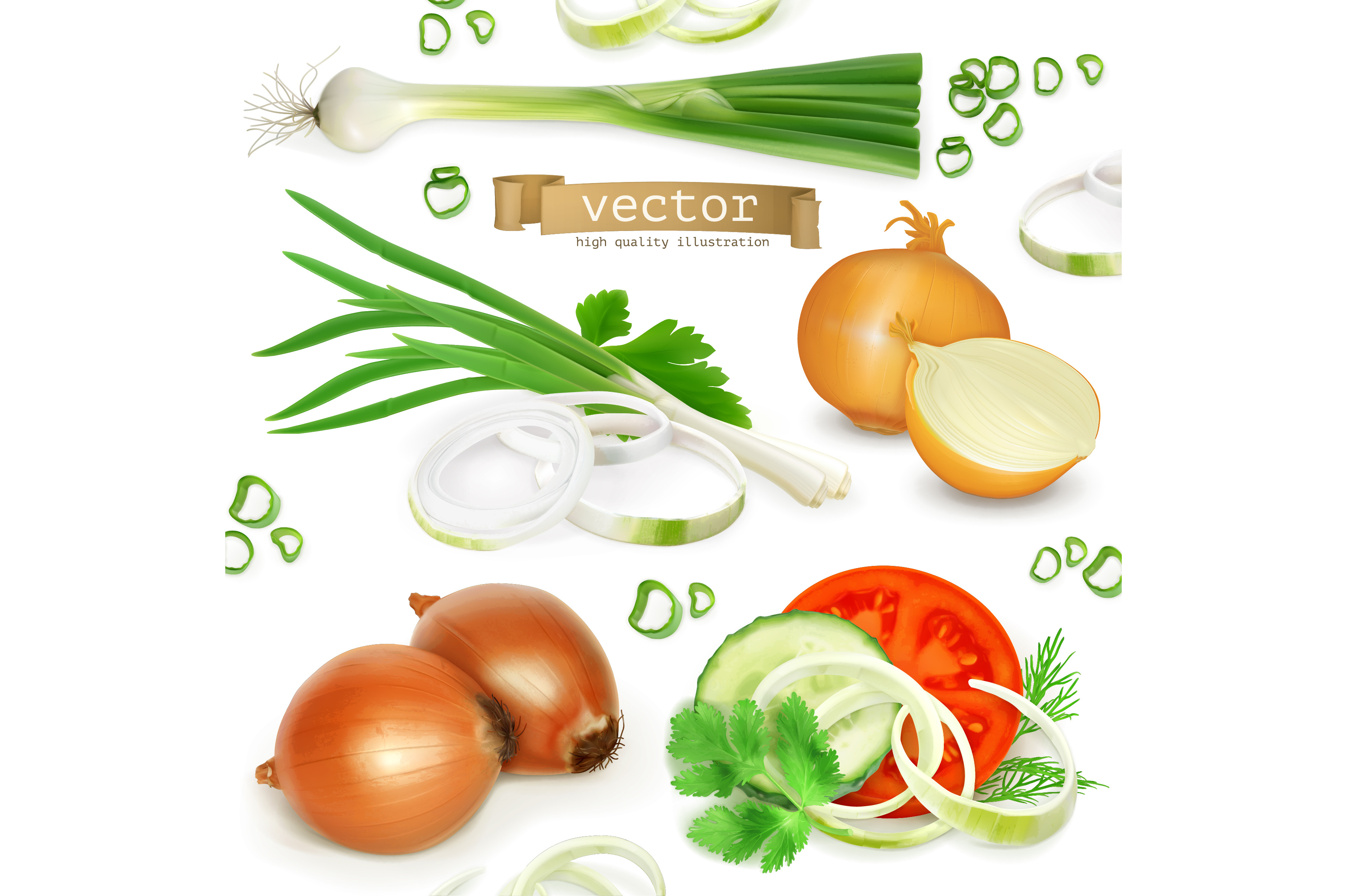Onion set, realistic vector icons, a Food Illustration by Allevinatis ...