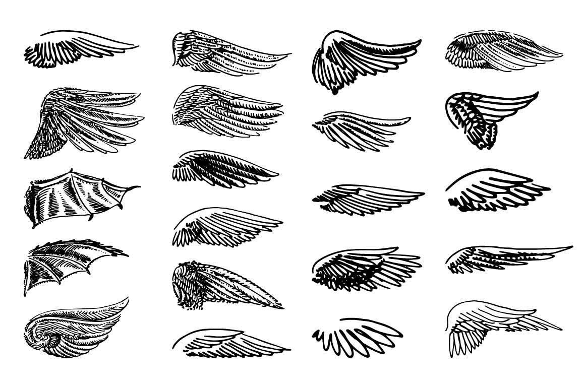Wings illustration set, an Animal Illustration by Artha Design Studio ...
