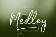 Medley Script, a Script Font by joelmaker | Creative Market