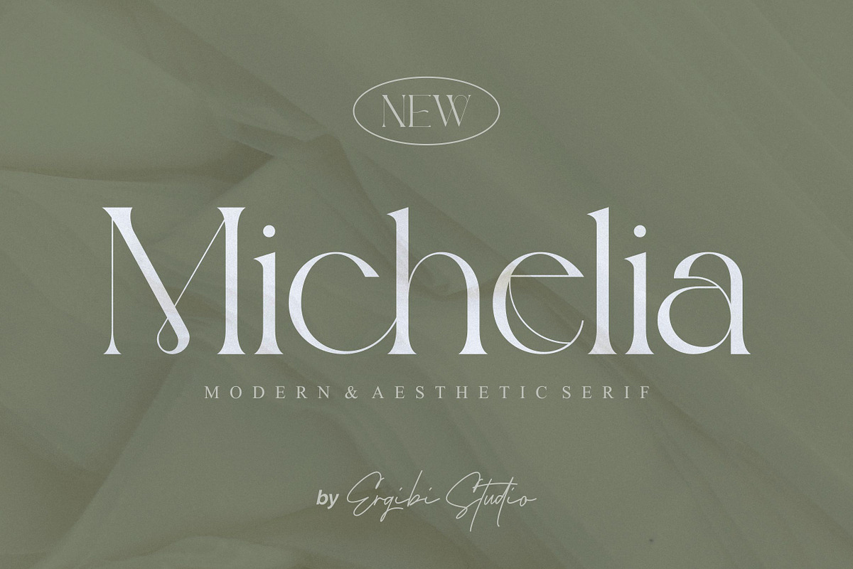 Michelia - Modern & Aesthetic, a Serif Font by ErgibiStudio