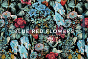 Blue Red Flowers, a Wallpaper Graphic by MalyskaStudio