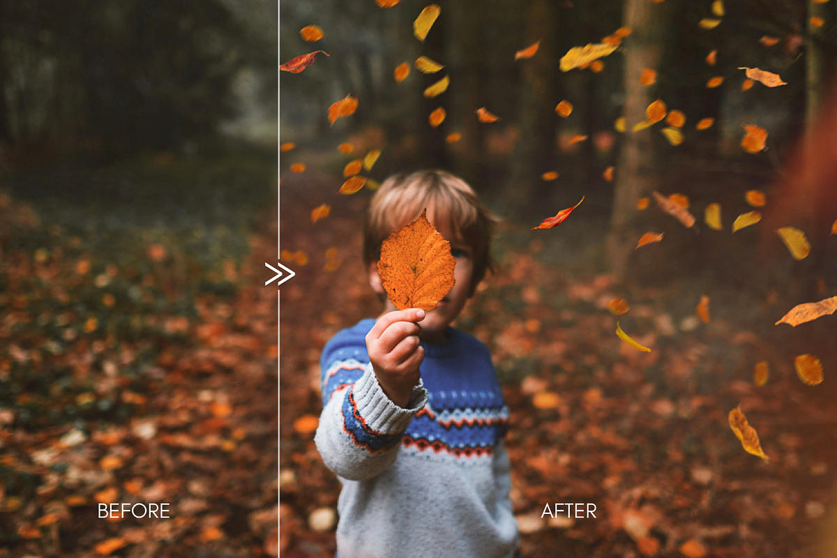 70 Natural Falling Leaf Overlays, a Layer Style Add-On by CityTurtles