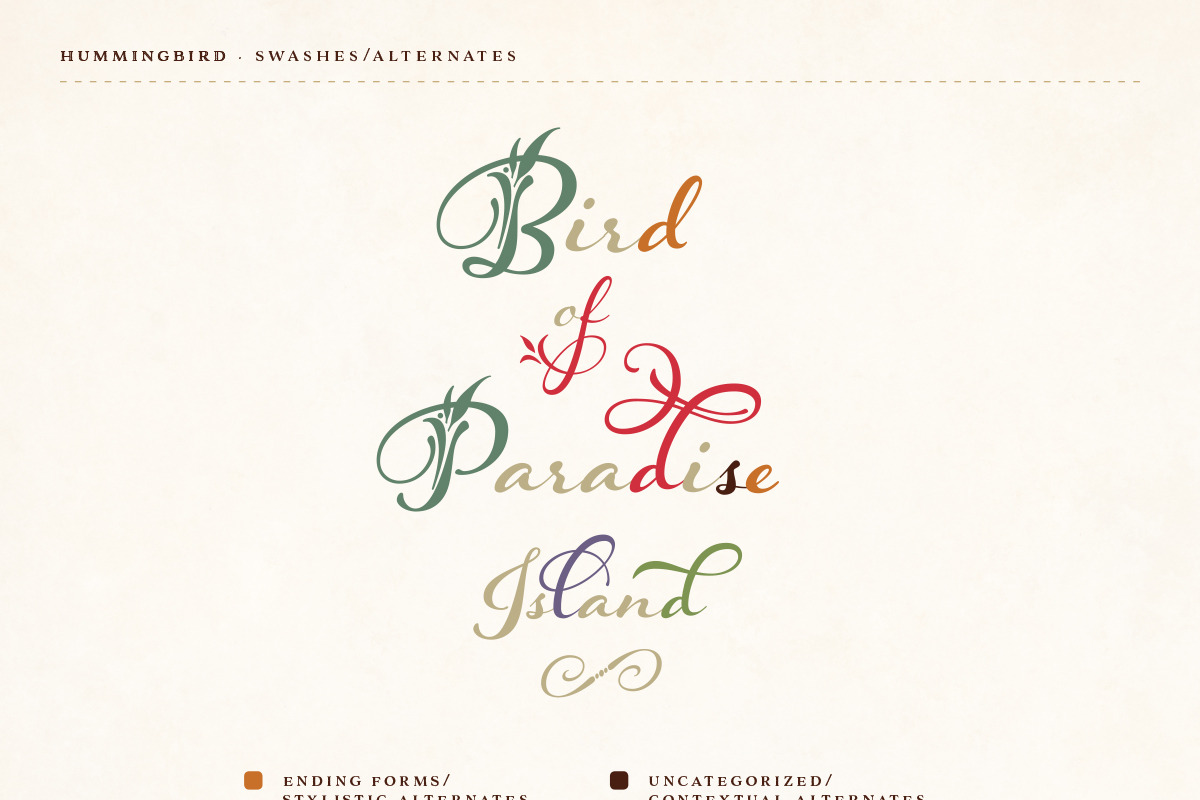 Hummingbird - Bold, a Script Font by Laura Worthington