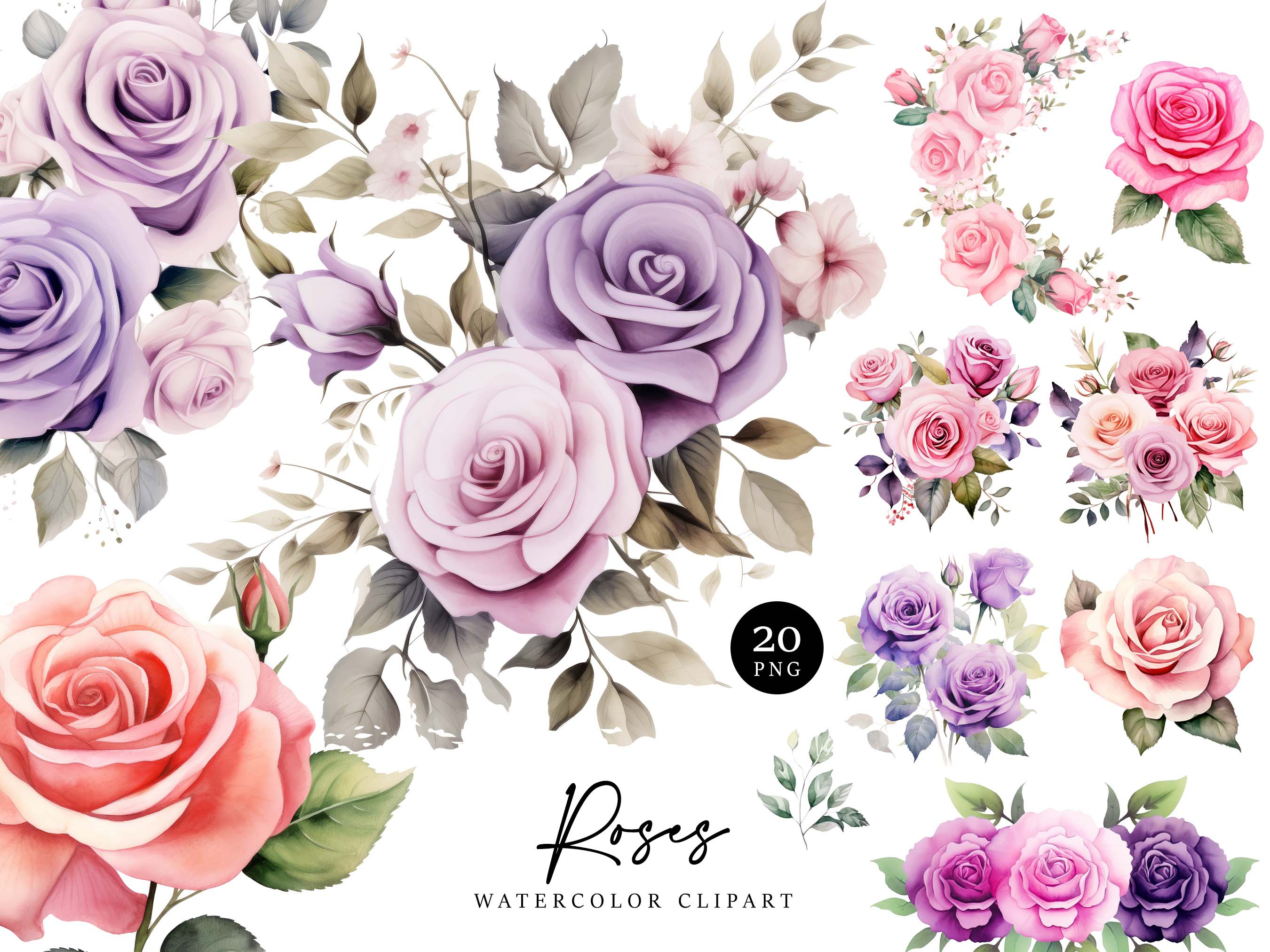 Watercolor Roses Clipart Bundle, an Object Illustration by Design Scotch