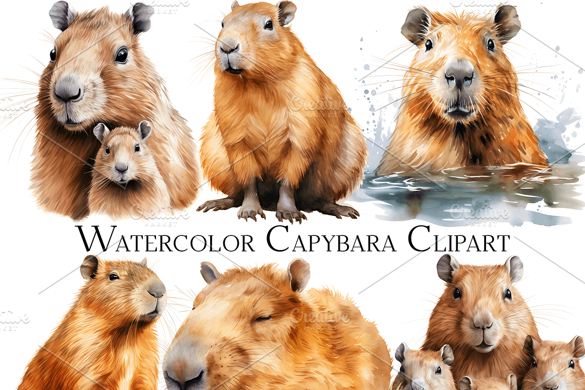 Watercolor Capybara Clipart, an Object Graphic by ArtisticTimberStudio