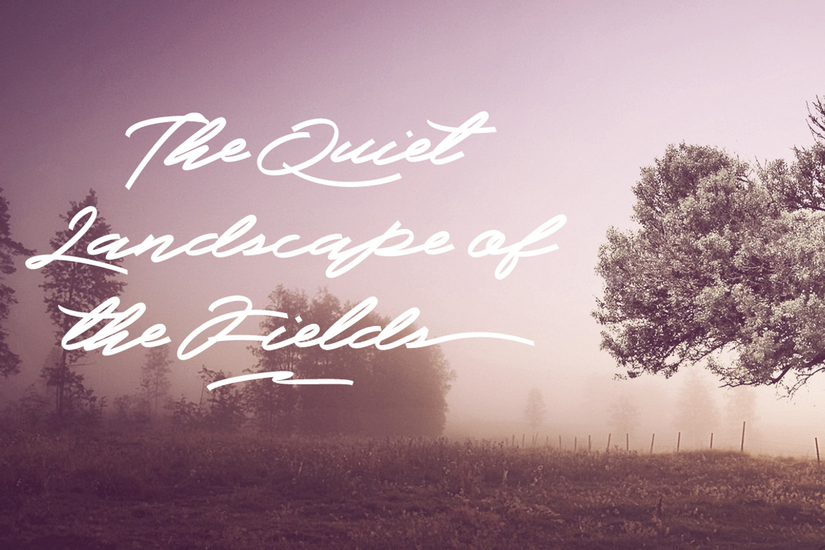 Slidingline Script Typeface, a Script Font by alphadesign