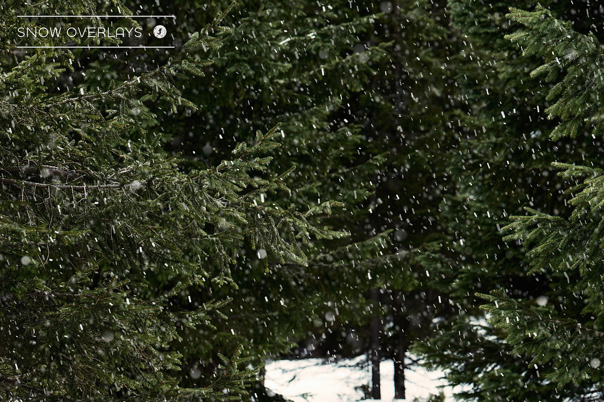 50 Realistic Snow Overlays, a Texture Graphic by Freezerondigital