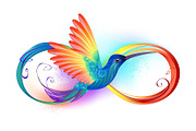 Rainbow Hummingbird with Infinity | Animal Illustrations ~ Creative Market