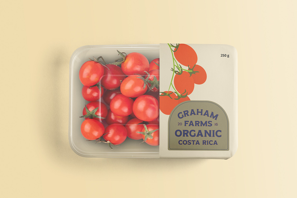 ED Pinehouse Vintage Serif