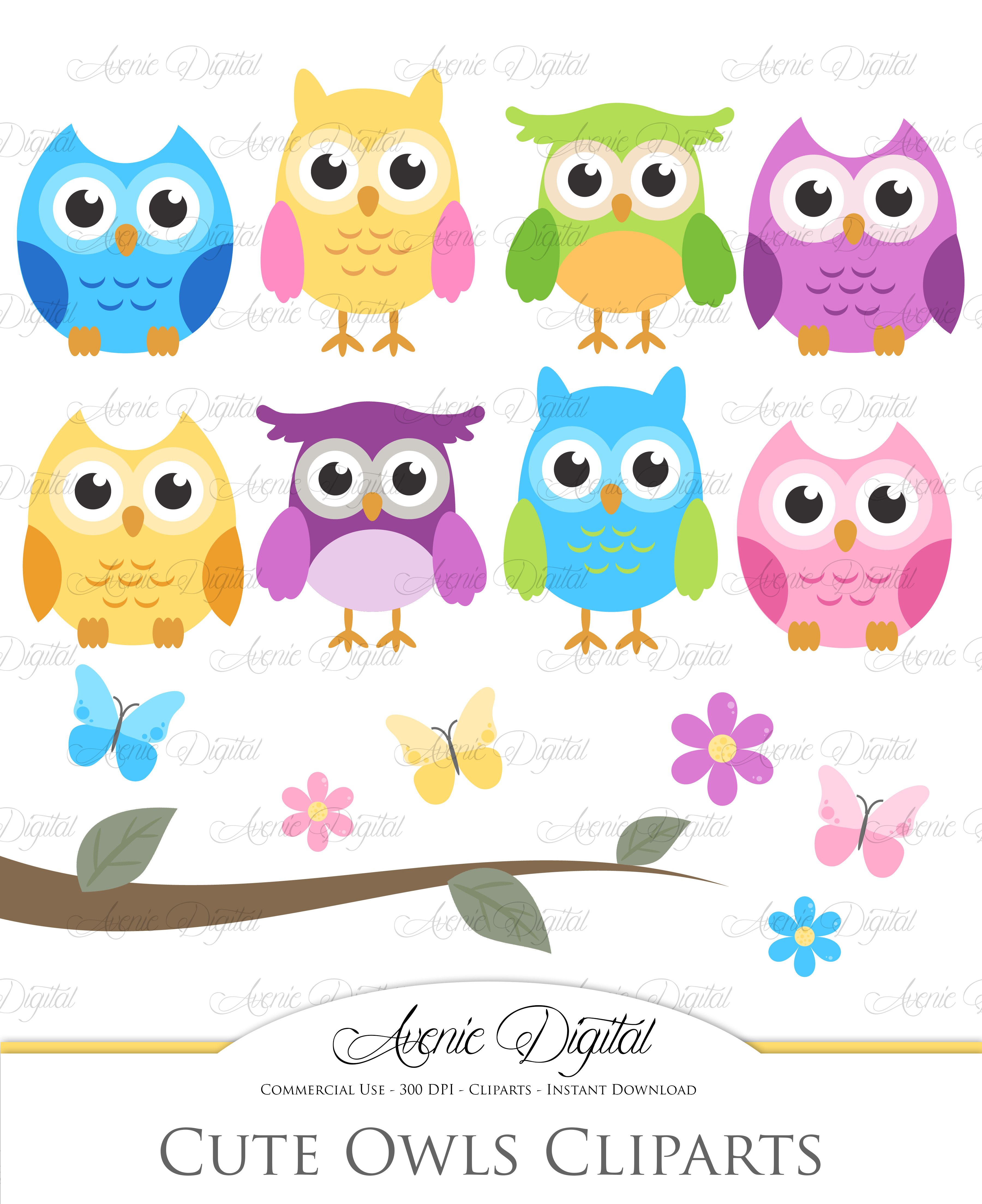 Colorful Owls - Cute bird Clip art, an Animal Illustration by Avenie ...