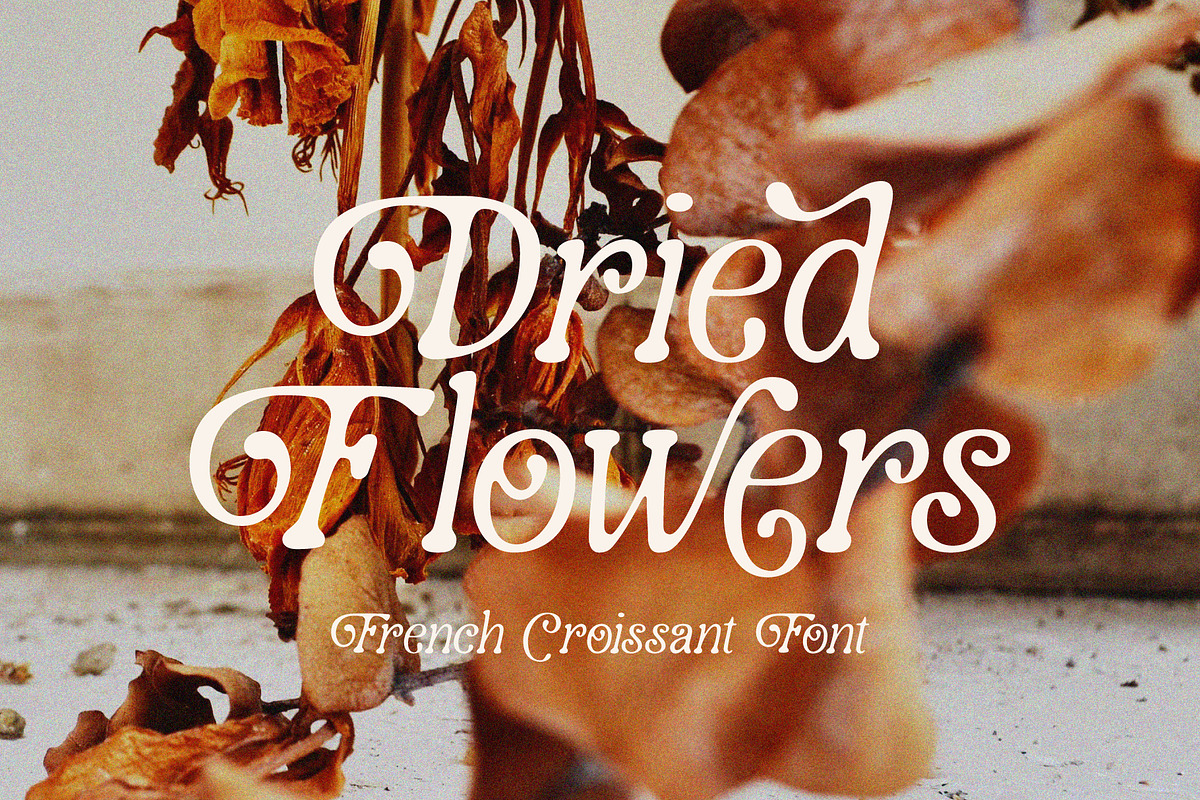 French Croissant Typeface, a Serif Font by Prioritype Co