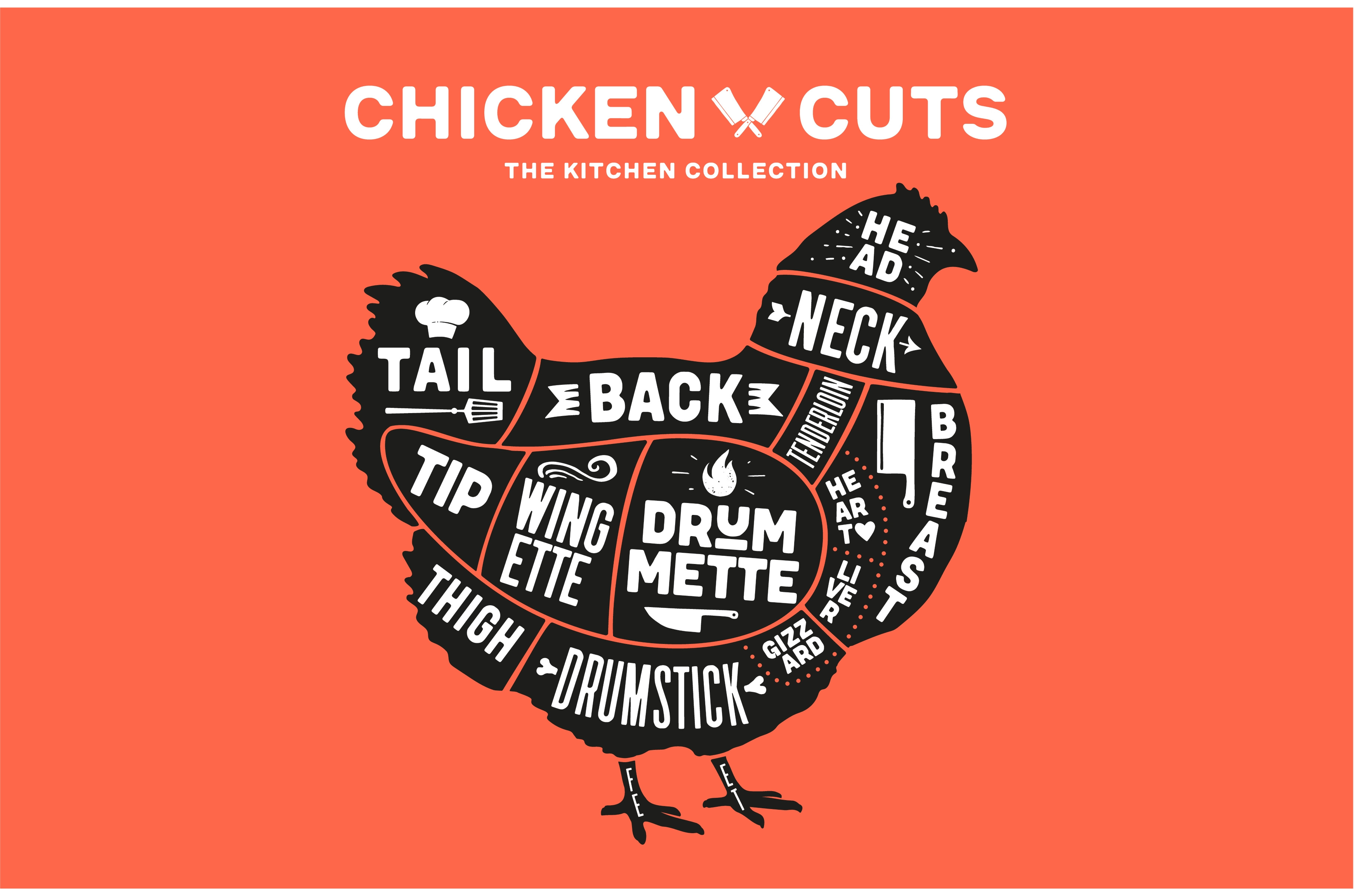 Chicken, hen. Scheme, diagram, chart | Animal Illustrations ~ Creative ...