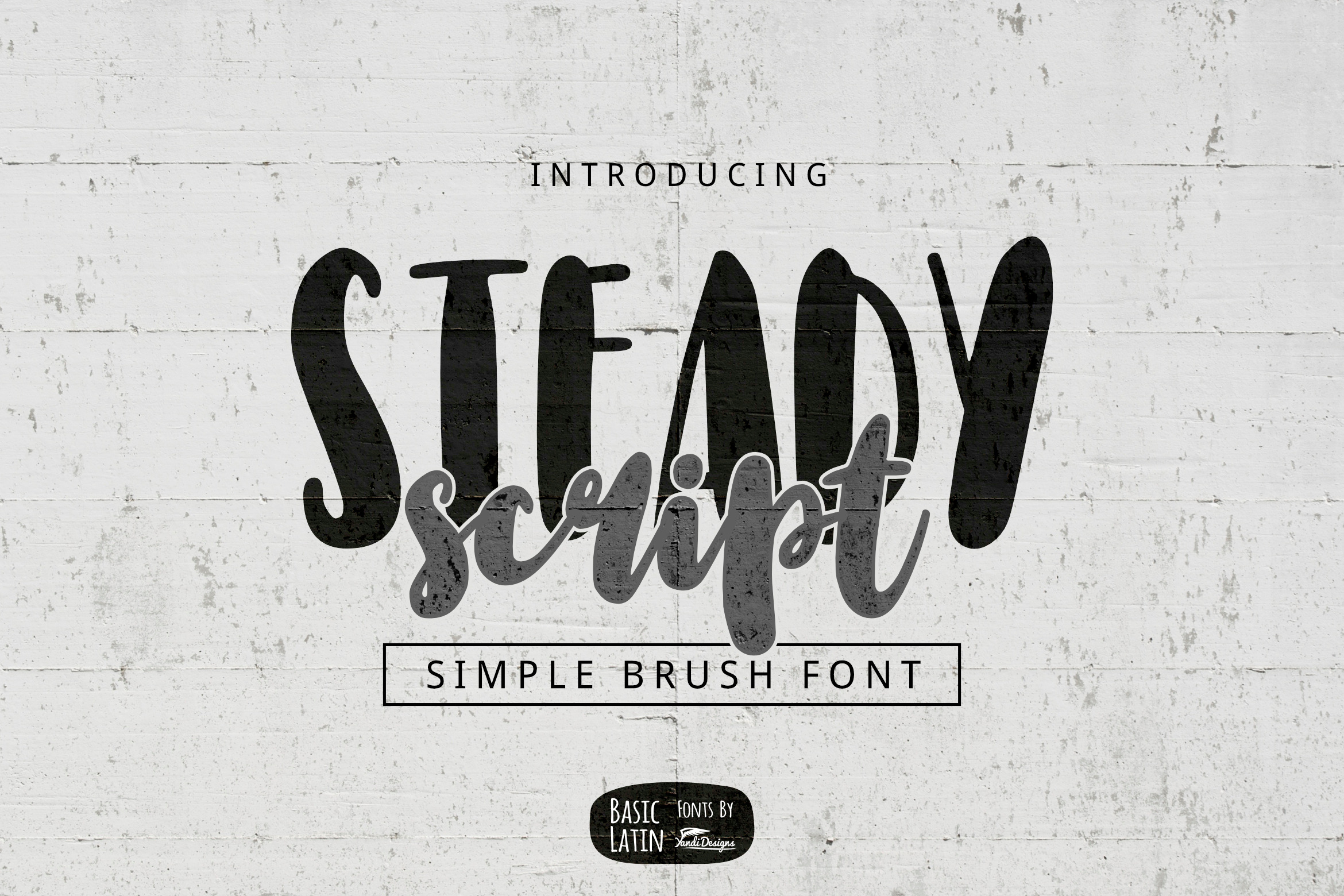 Steady Script, a Script Font by YandiDesigns