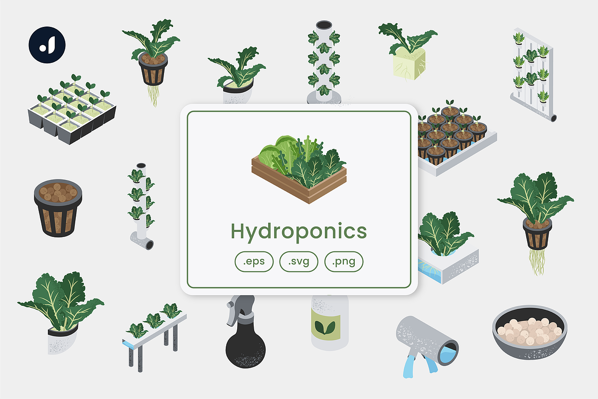 Hydroponics Illustration