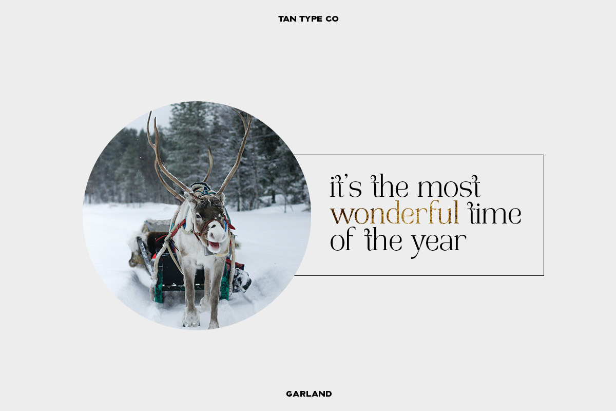 TAN - GARLAND, a Serif Font by TanType