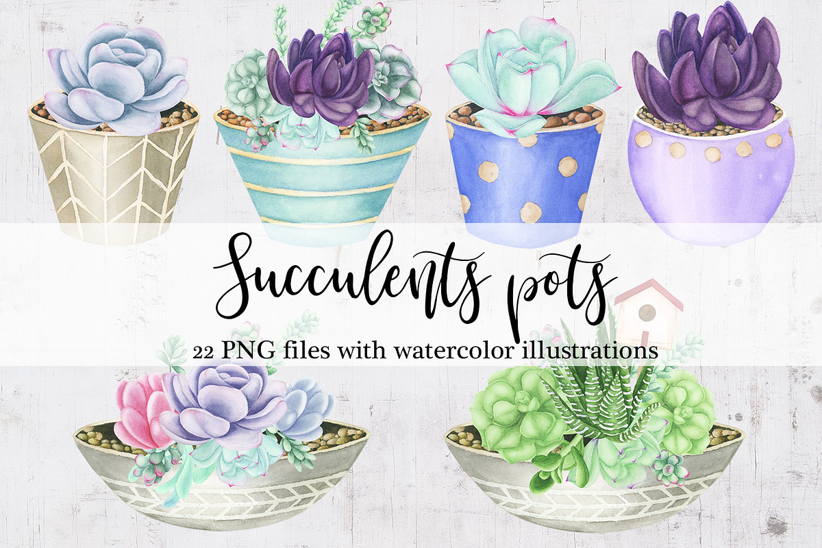 Watercolor Succulents Pots Clipart, a Decorative Illustration by Plants ...