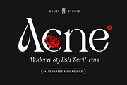 Acne - Modern Branding Typeface, a Serif Font by Sohel Studio ...