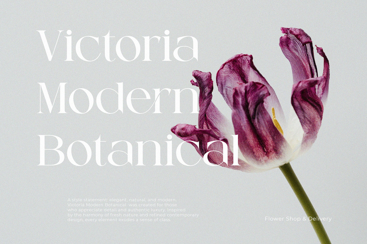 Chetta Vissto, a Serif Font by ToniStudio