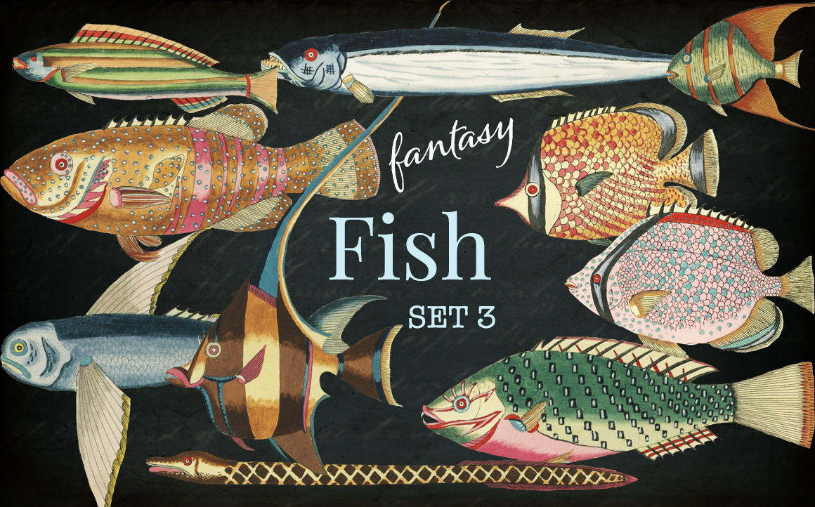 Beautiful Fantasy Fish Set 3, a Graphic by Digital Vintage