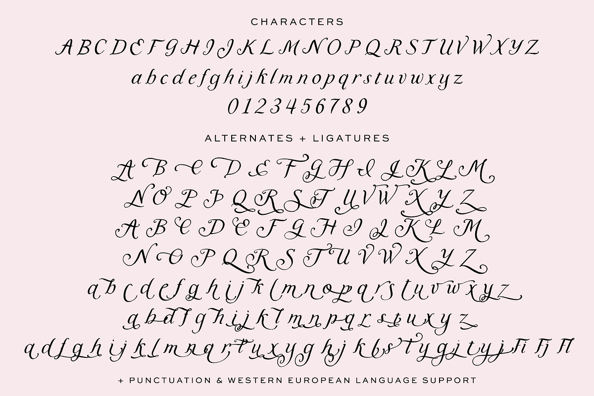 Meadowgrove Calligraphy Font, a Handwritten Font by Beck McCormick
